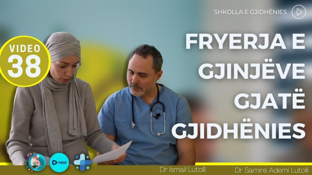 SHKOLLA E GJIDHËNIES| Video 38: FRYERJA E GJINJËVE GJATË GJIDHËNIES ...