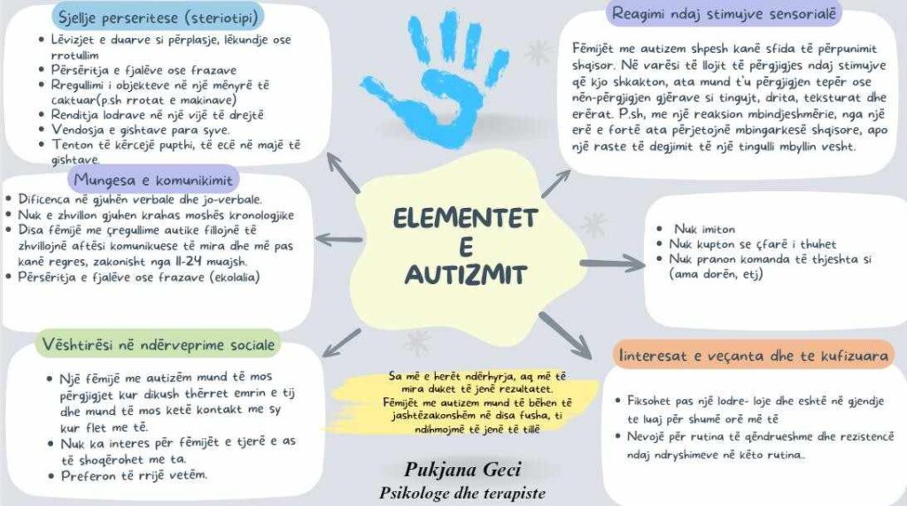 Si të njohim autizmin? – Elementet e autizmit